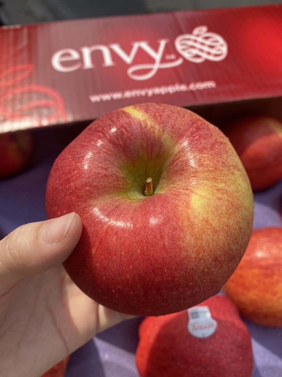 Táo Envy Size Đại